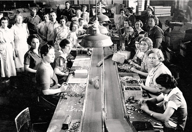 Hersteller Details - Optical Toys